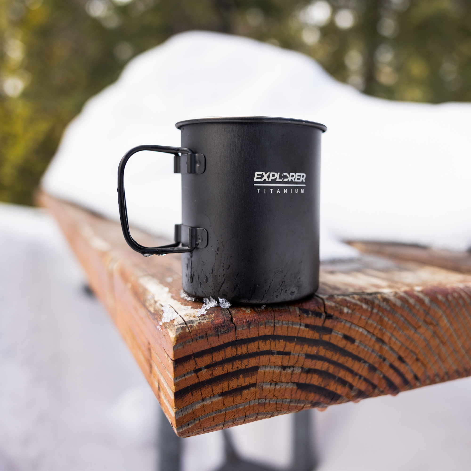 Explorer Bear Titanium Series