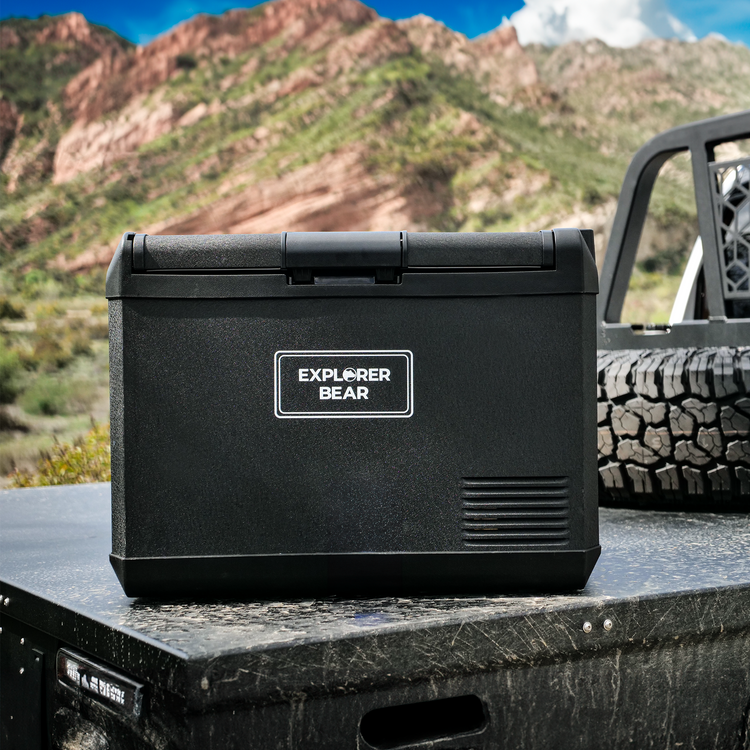 Discover more about Explorer Bear