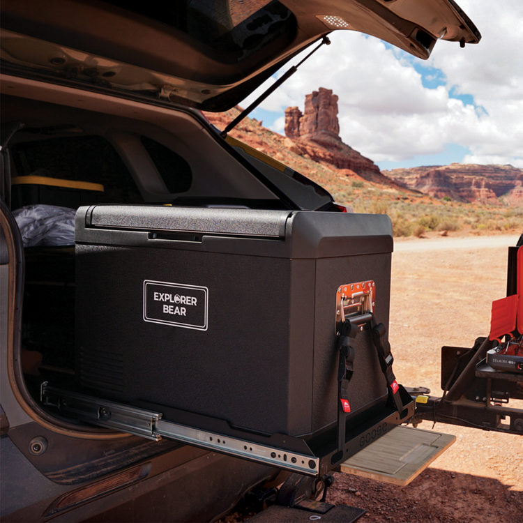 Discover more about Explorer Bear