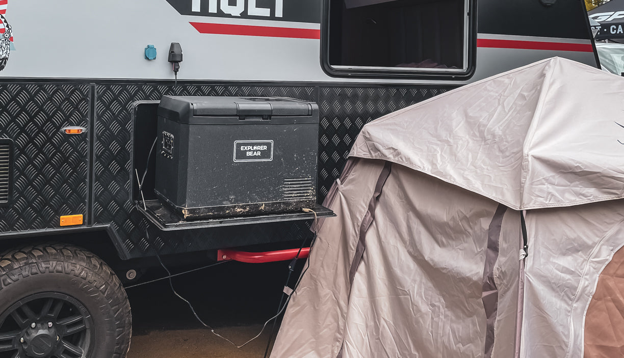 THE BEAR COMMUNITY – Explorer Bear