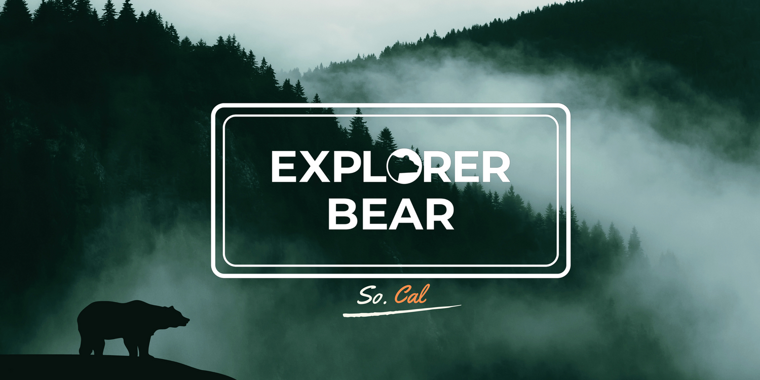 Explorer Bear