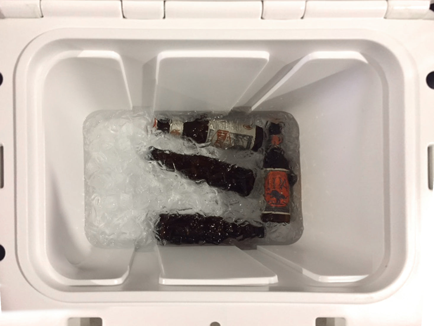 Explorer Bear EX50B - 50L 12/24V Portable Refrigerator & Freezer
